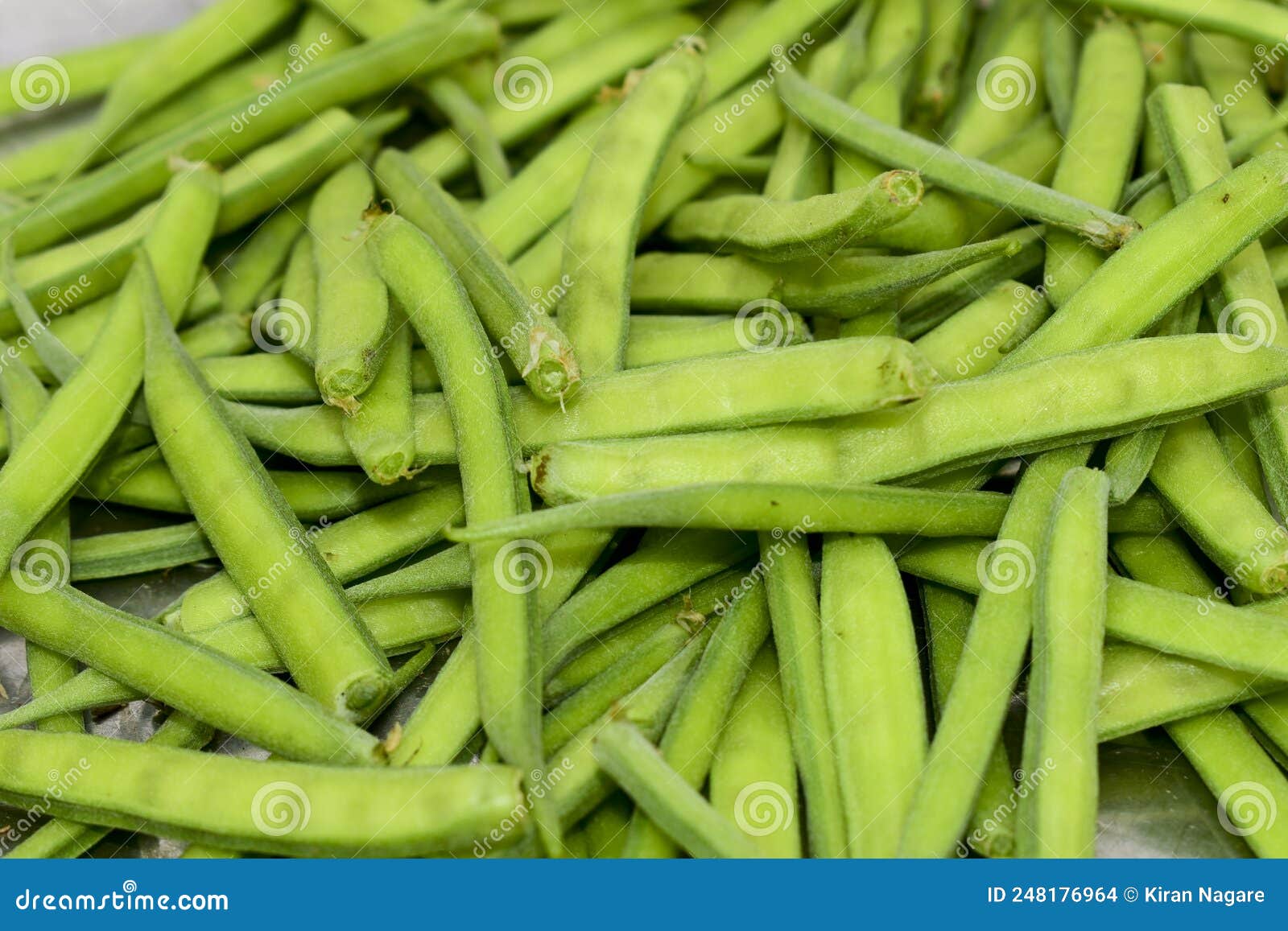 Green cluster, guvar beans stock photo. Image of indian - 248176964