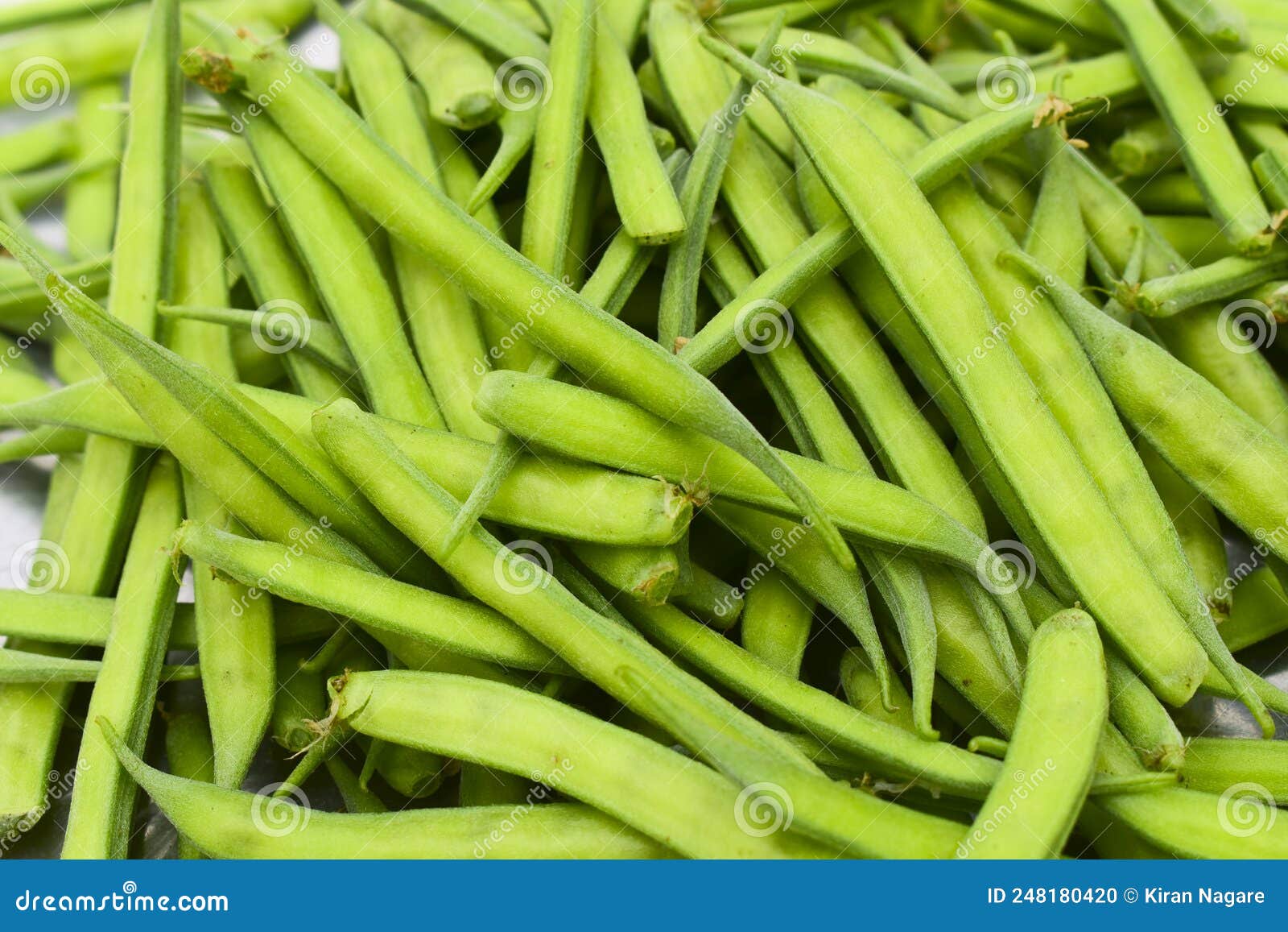 Green cluster, guvar beans stock photo. Image of diet - 248180420