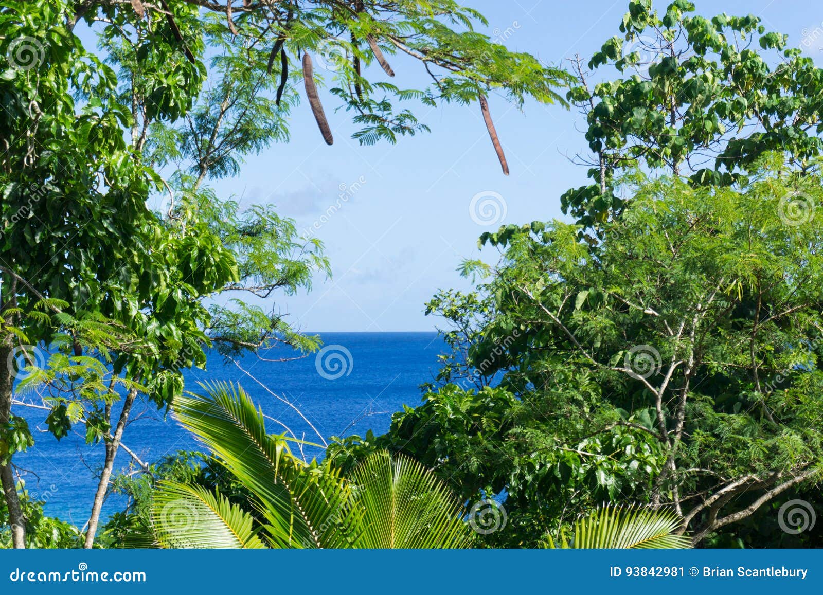 Green of Coastal Bush and Trees with Deep Blue Ocean and Sky Bey Stock ...