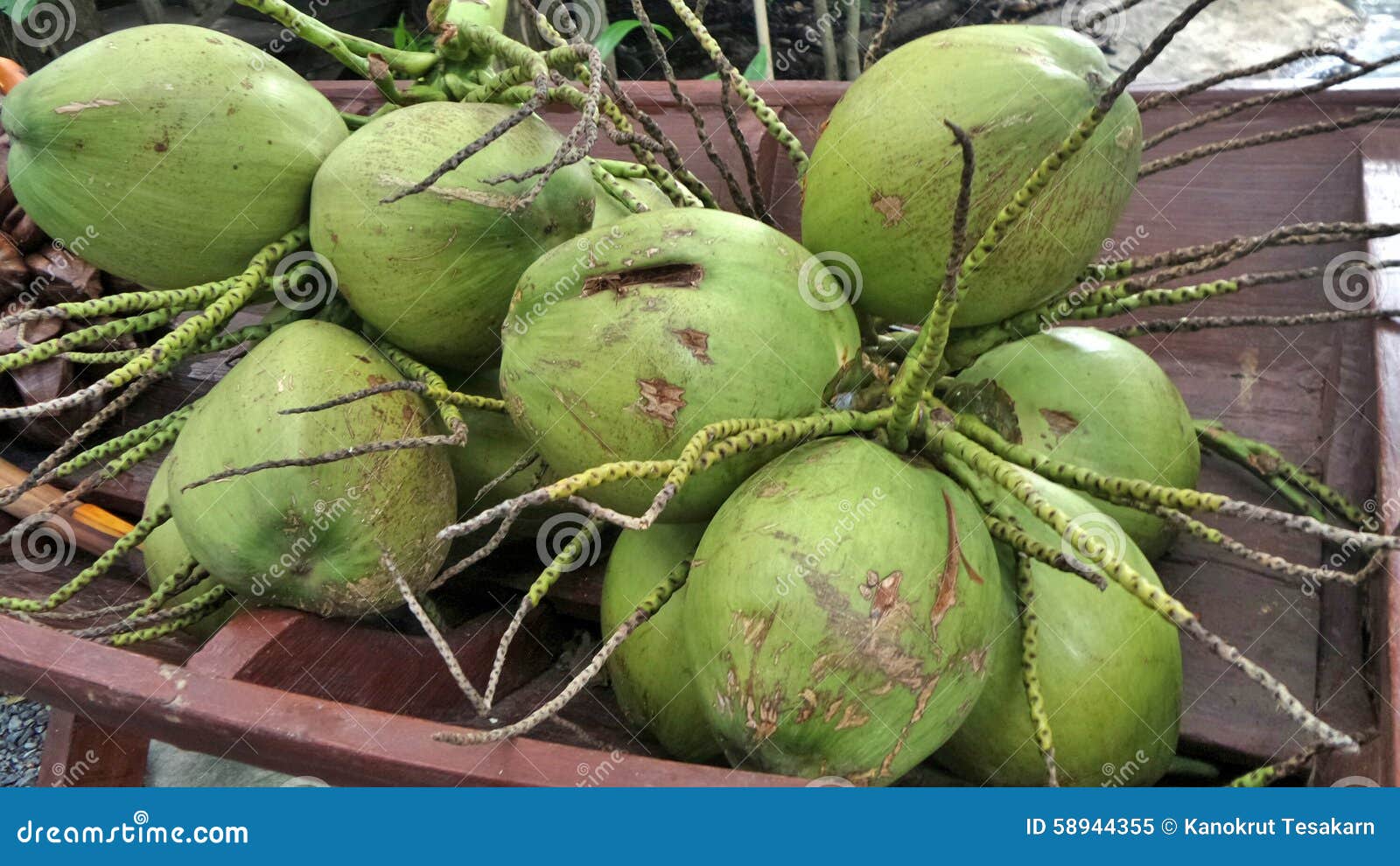 Green Coconut stock image. Image of process, cooking - 58944355