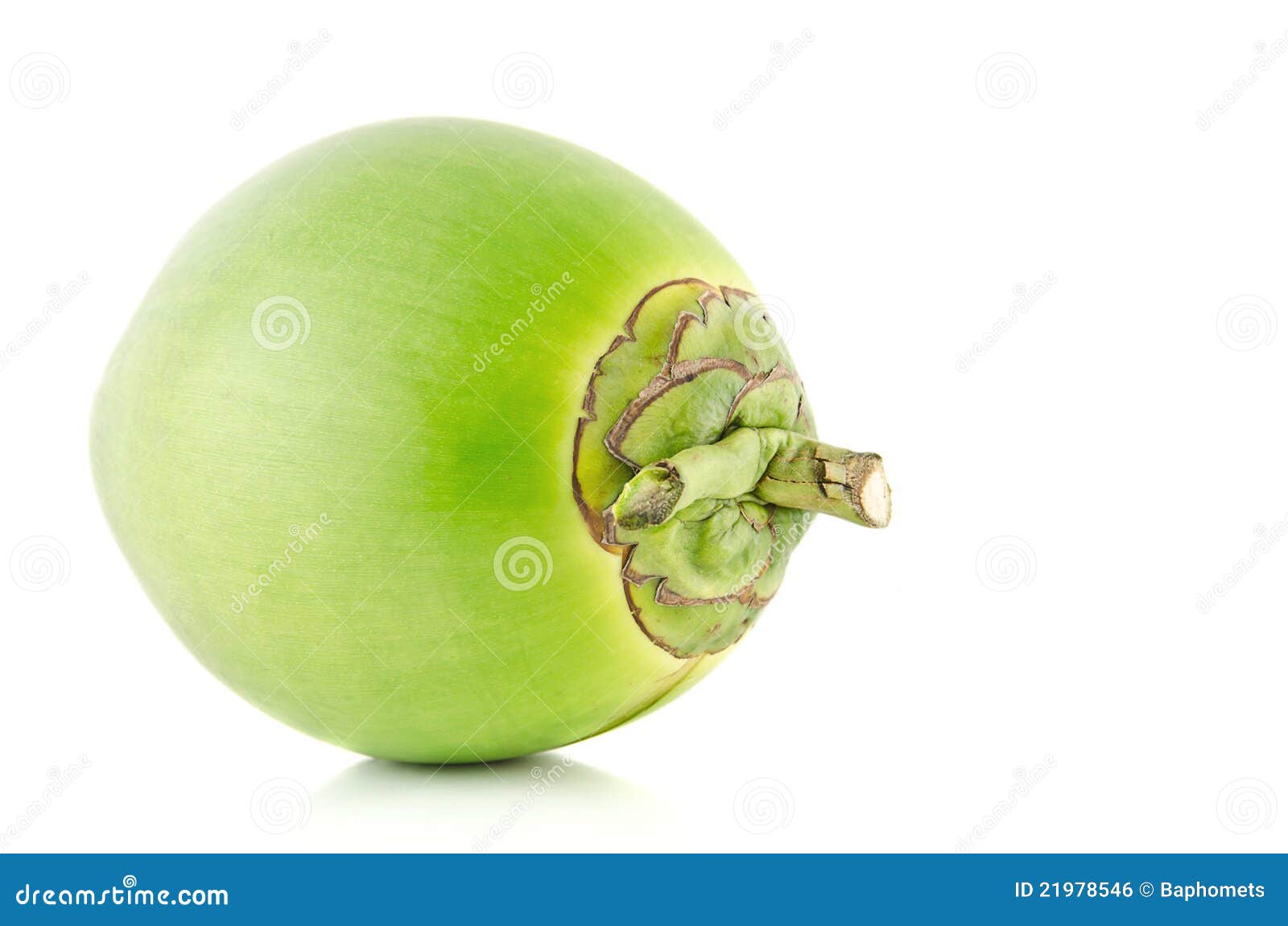 Coconut Fruit And Milk Splash Inside It On A Background Of A Palm Tree ...
