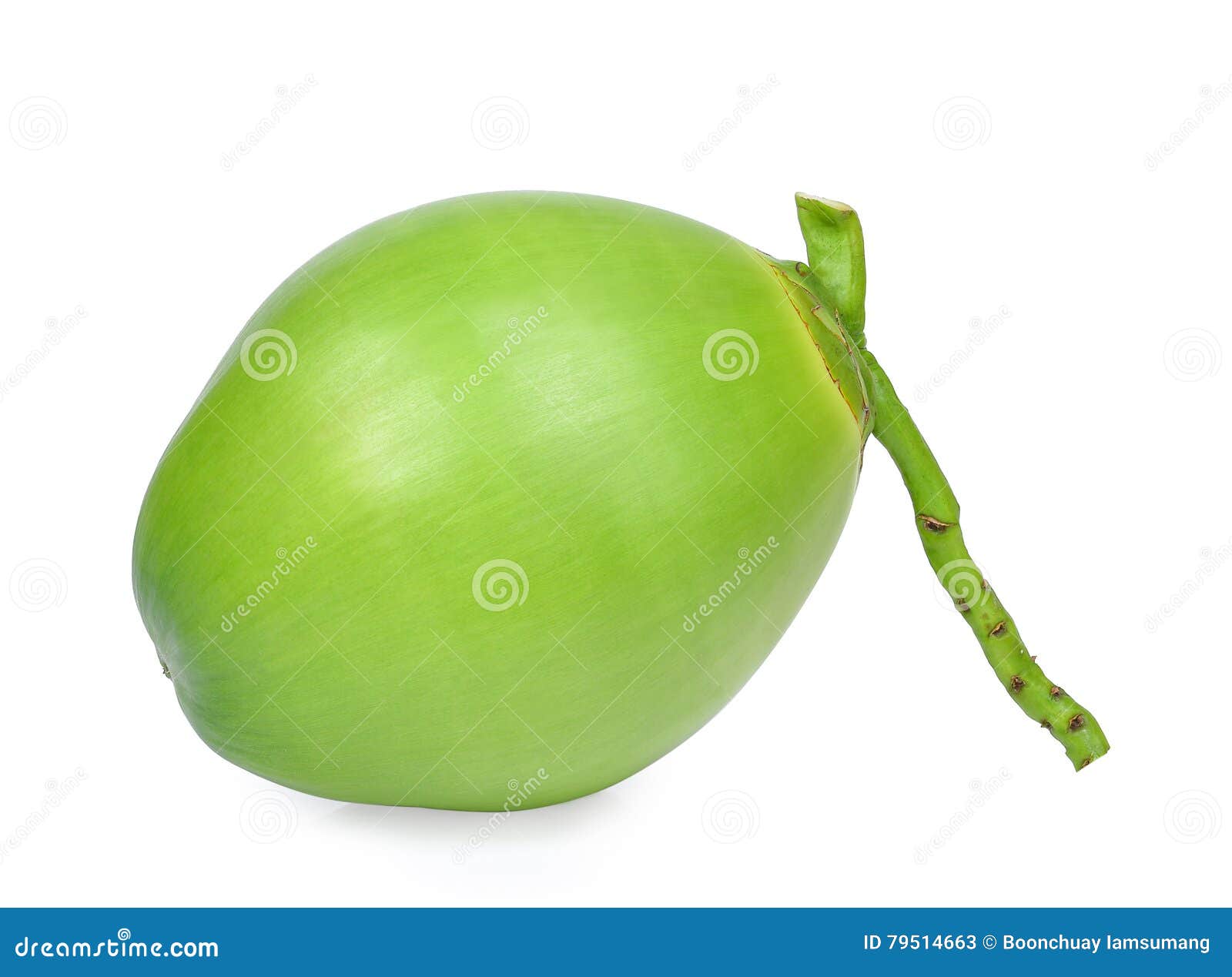 Green Coconut Isolated on White Stock Image - Image of exotic, health ...