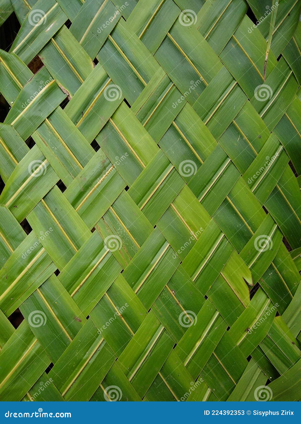 Green Coconut Leaf Roofing, Green Pattern Stock Image - Image of ...