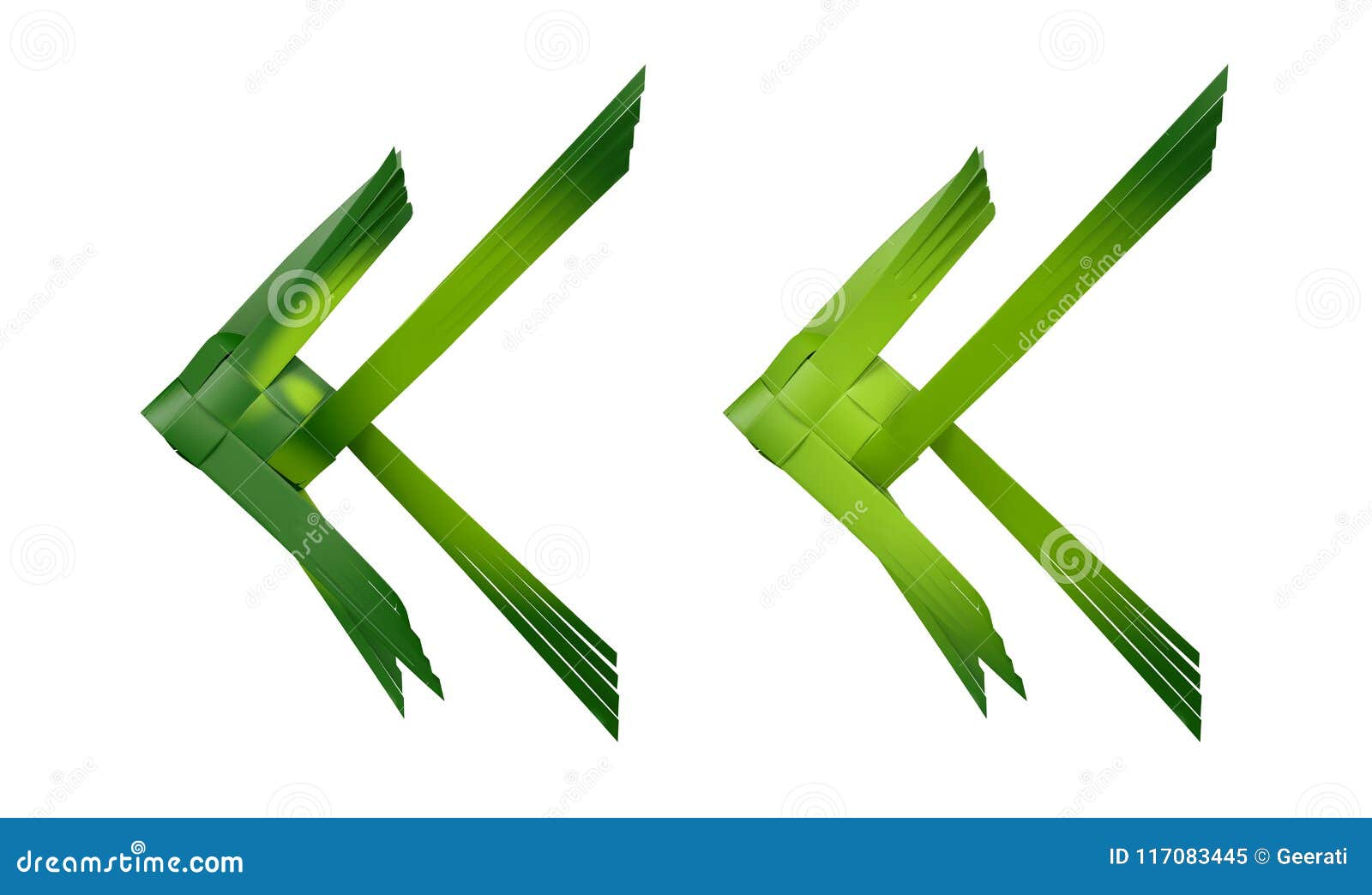 Coconut Leaf Vector Illustration | CartoonDealer.com #28722098 Coconut Leaf Vector Illustration | CartoonDealer.com #28722098