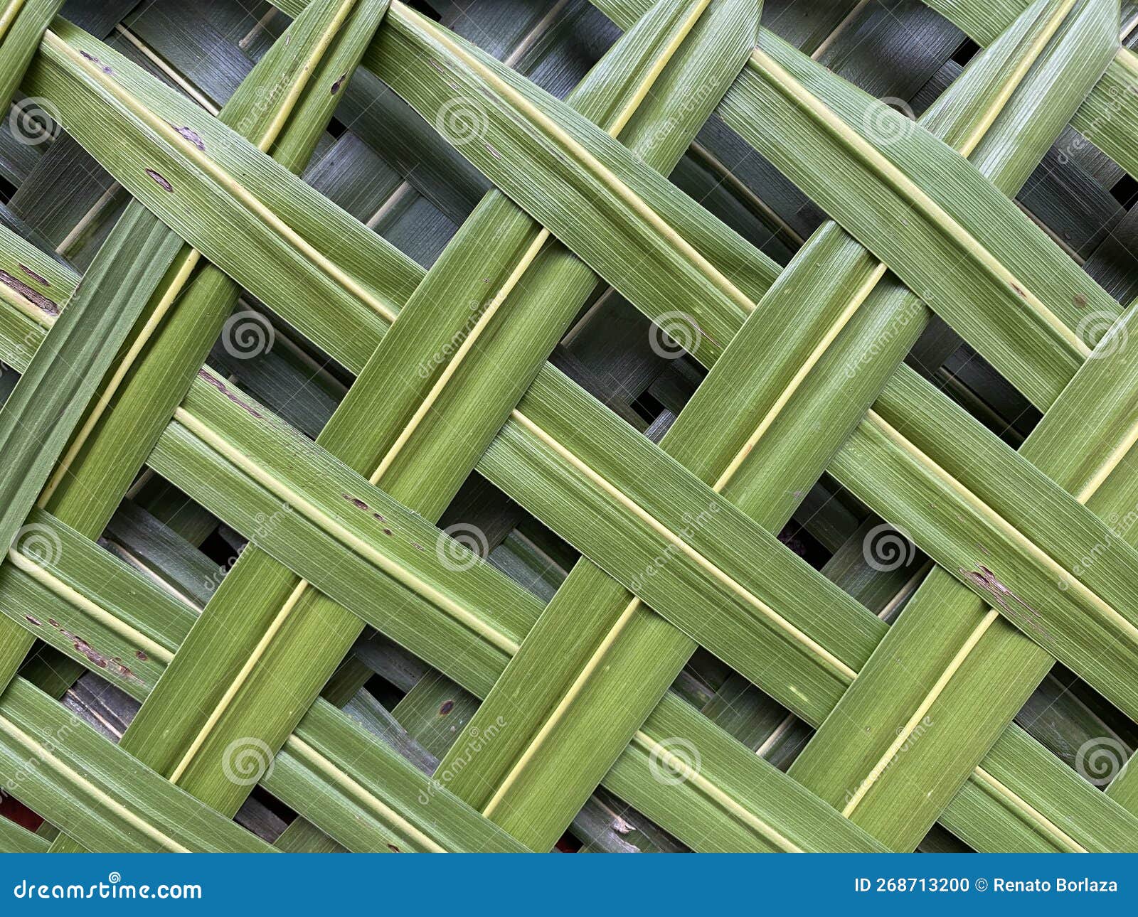 Green Coconut Leaves Pattern Weaving. Stock Photo - Image of nature ...