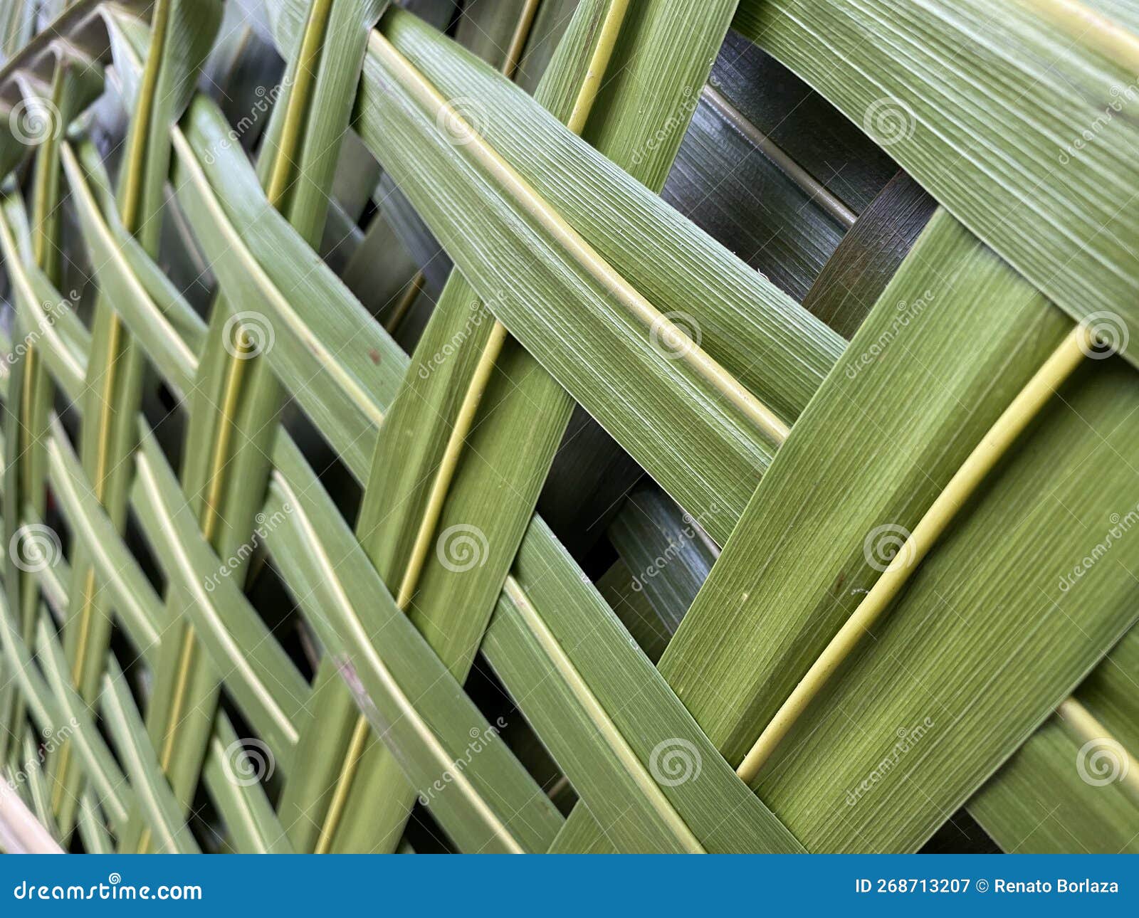 Green Coconut Leaves Pattern Weaving. Stock Image - Image of pattern ...