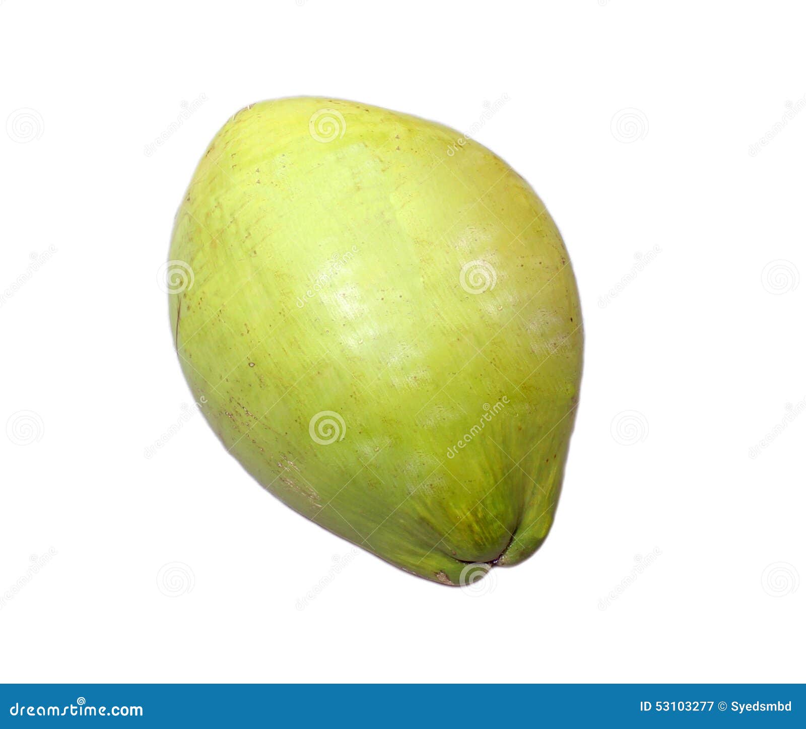 Green coconut stock image. Image of healthy, nature, coco - 53103277