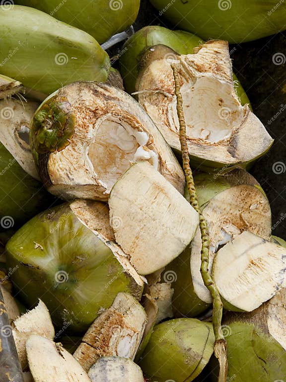 Green coconut shell stock photo. Image of hard, nutrition - 16758834