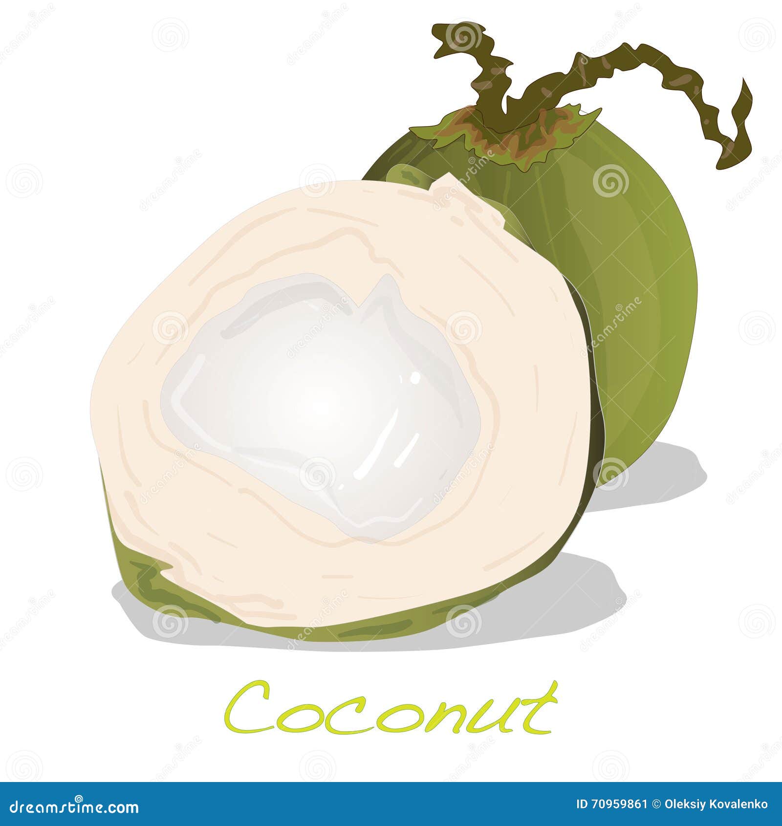 Green coconuts vector stock vector. Illustration of straw - 70959861