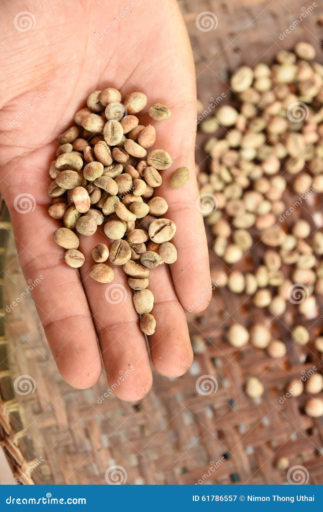 Green coffee beans in hand stock image. Image of coffee - 61786557