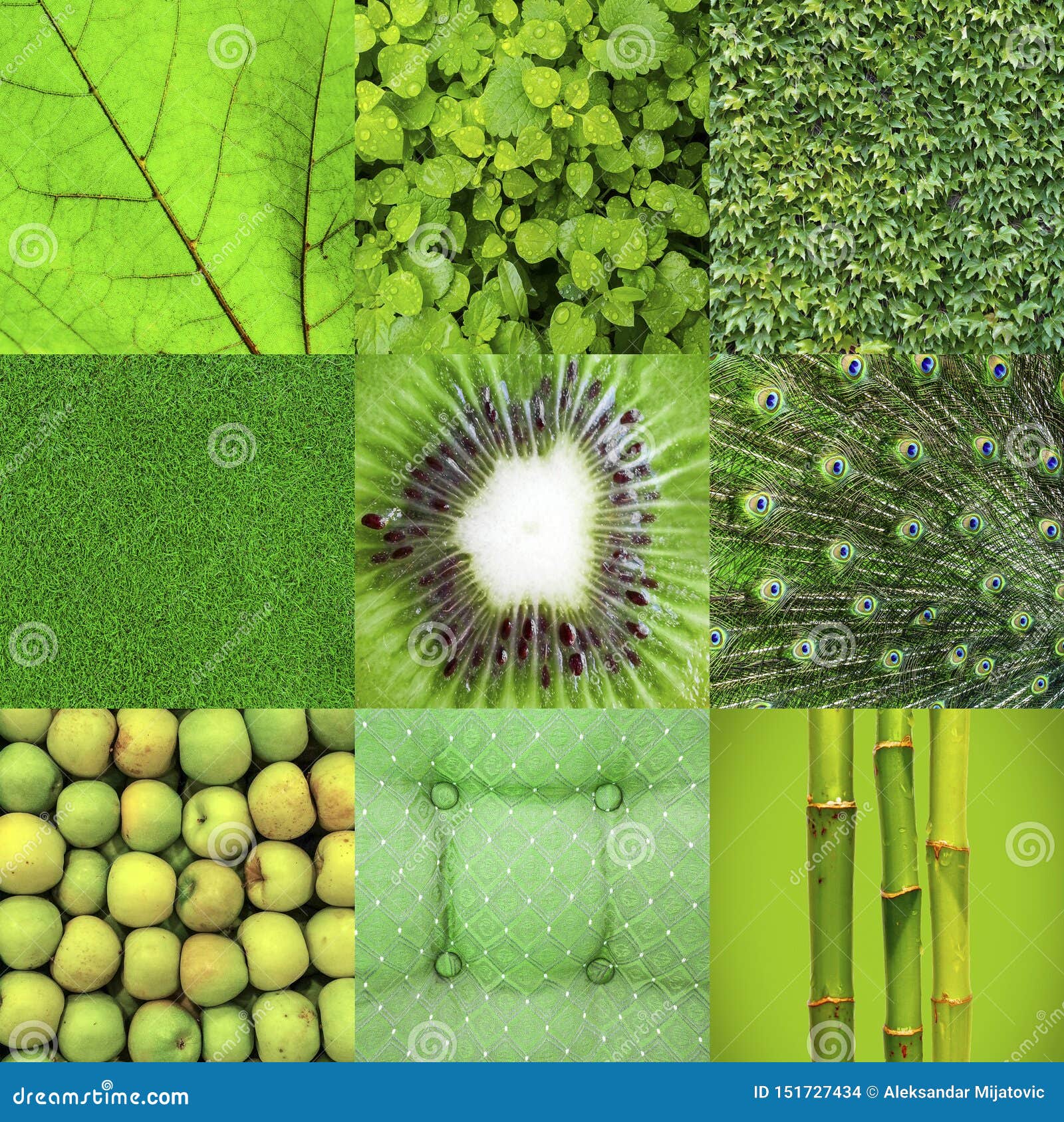 Green Collage Of Fresh Leaves Of Linden Tree Royalty-Free Stock Image ...