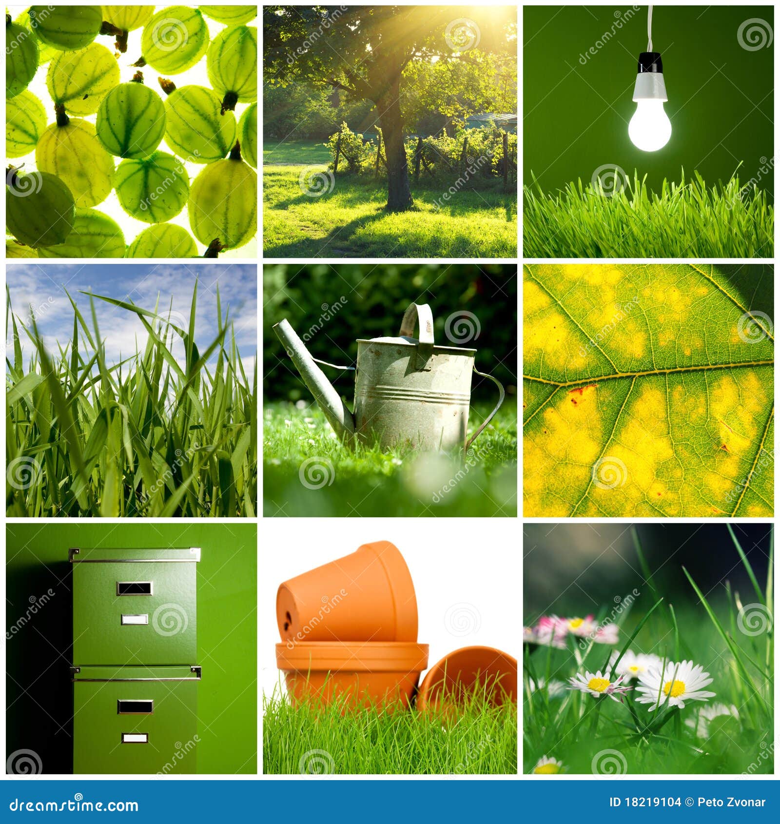 Green collage stock photo. Image of greenish, green, flowers - 18219104