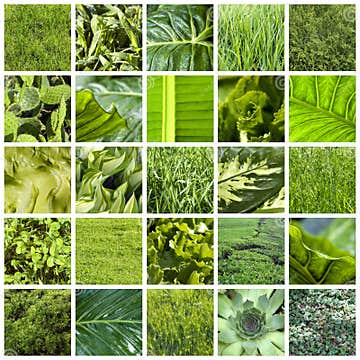Green collage stock image. Image of abstract, environment - 19961411