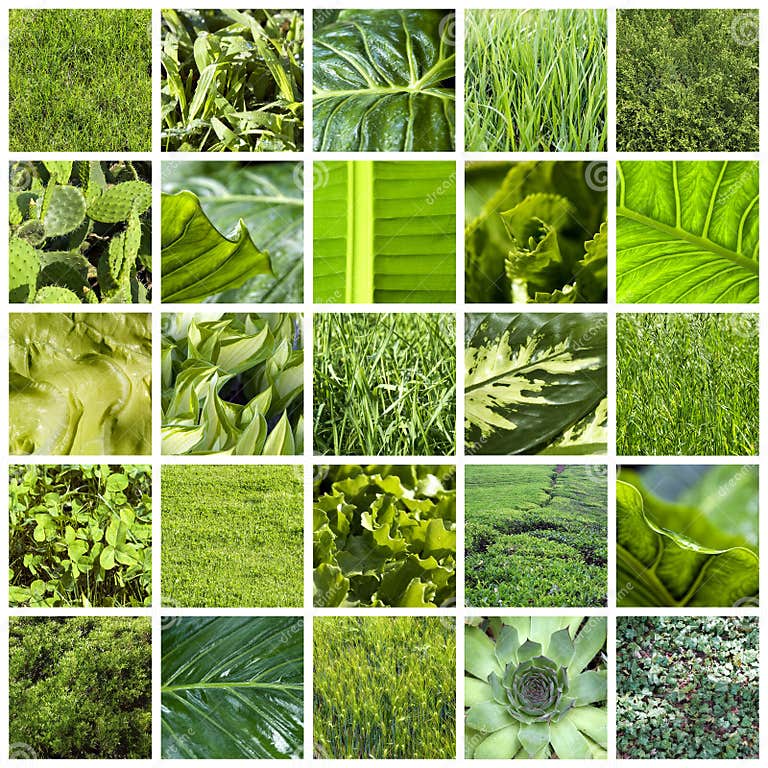 Green collage stock image. Image of abstract, environment - 19961411