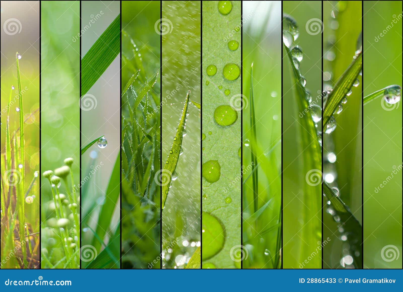 Green collage stock image. Image of climate, fresh, environment - 28865433