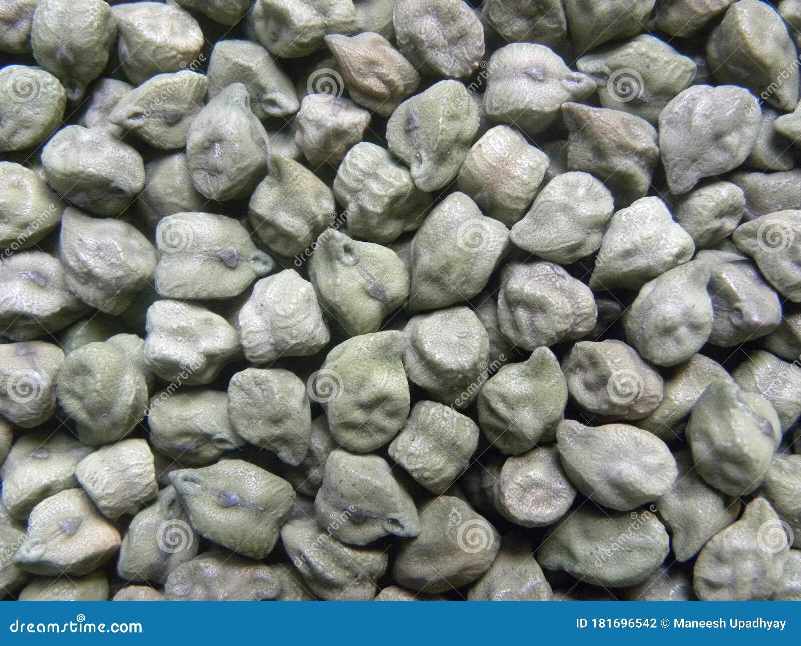Green color dried Chickpea stock photo. Image of close - 181696542