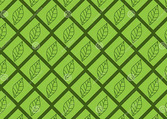 Green Color Leaf Design on a Box Pattern Design. Stock Illustration ...