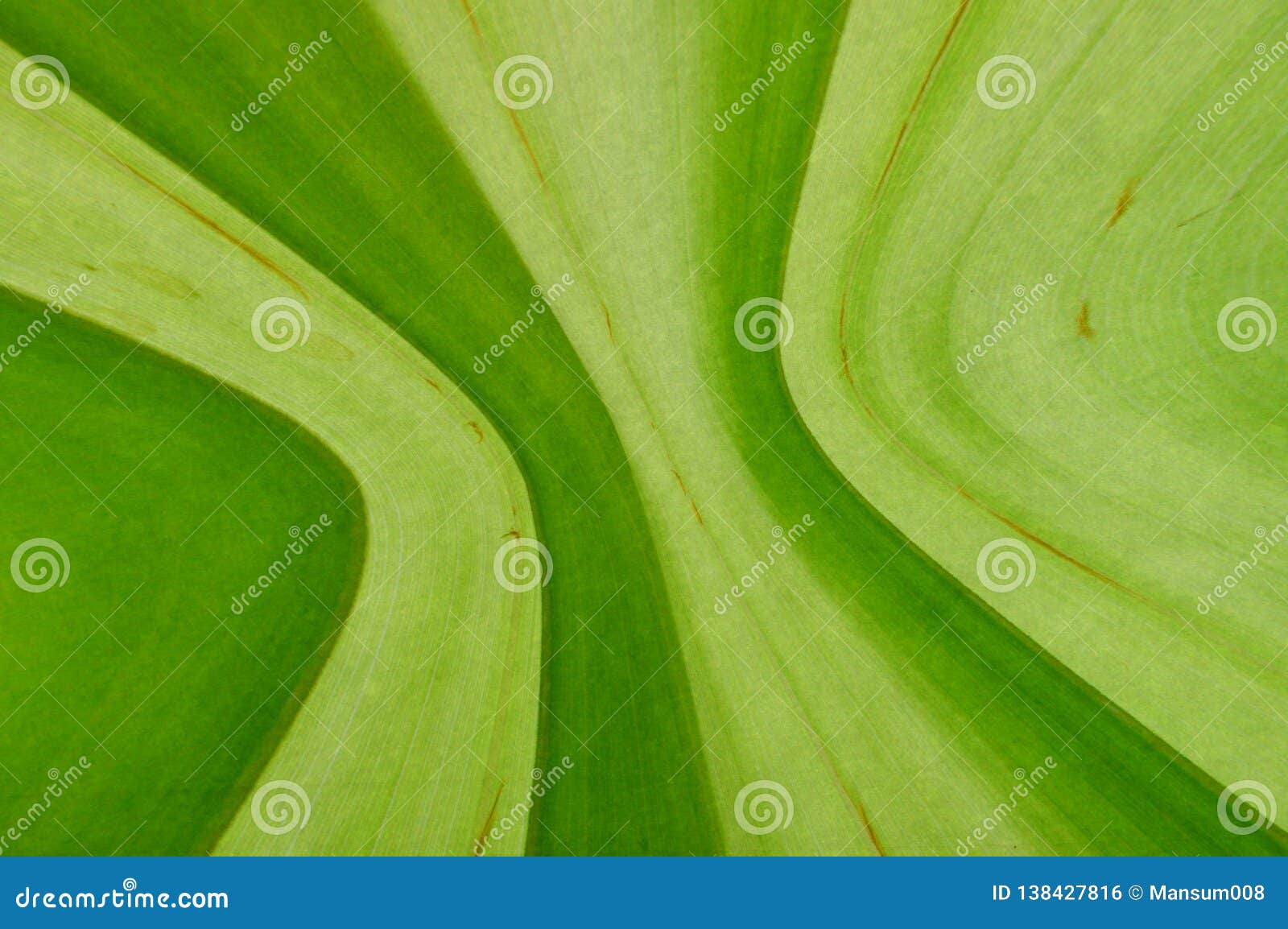 Green Color Pattern Background Stock Illustration - Illustration of ...