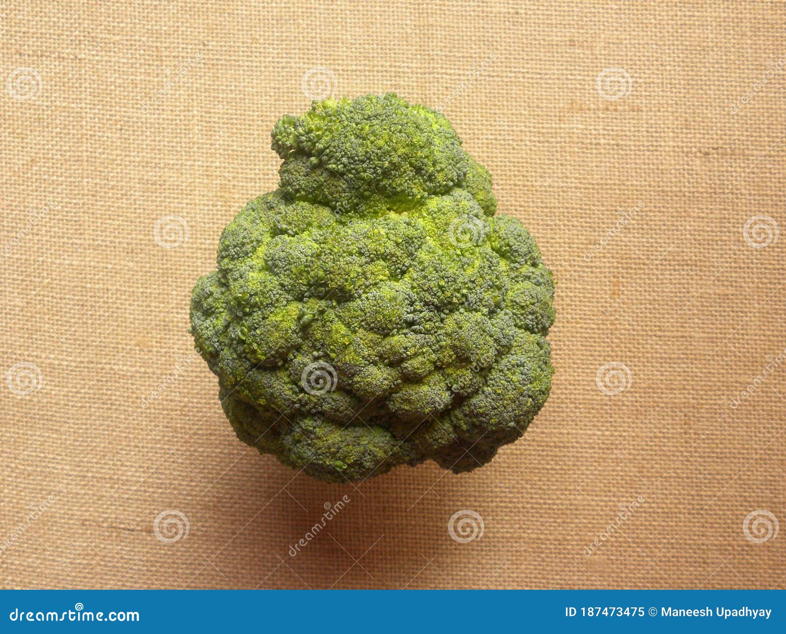 Green Color Raw Whole Broccoli Stock Image - Image of food, cabbage ...