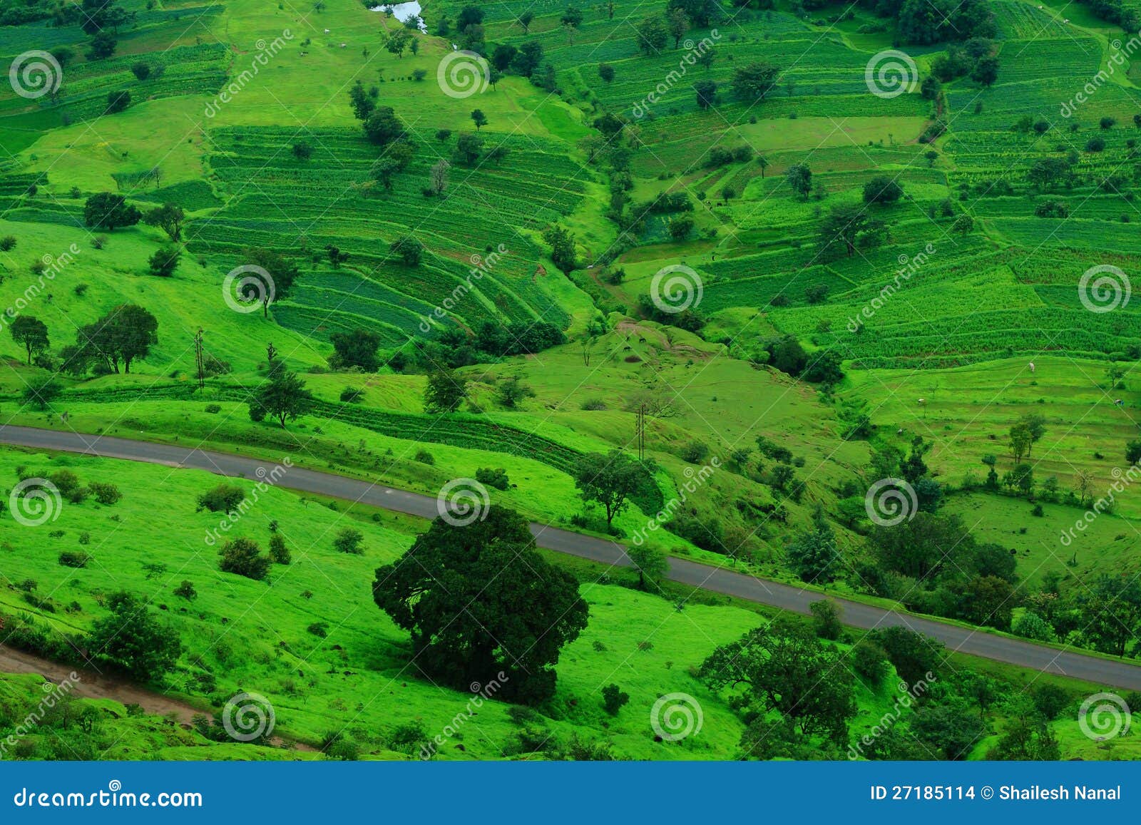 Green Color-a Sign of Prosperity Stock Photo - Image of clear, classic ...