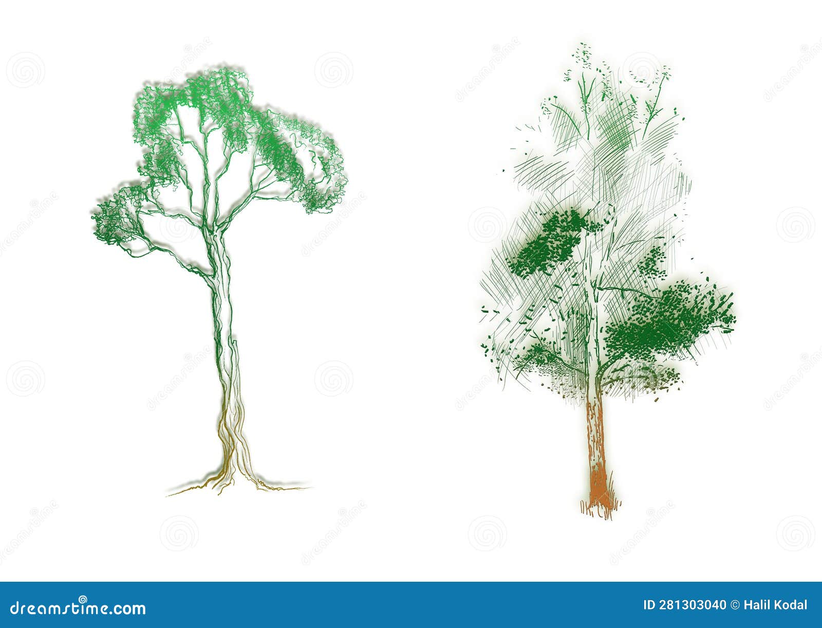 Green Color Tree Drawing. Illustrator Visual Stock Photo - Image of ...