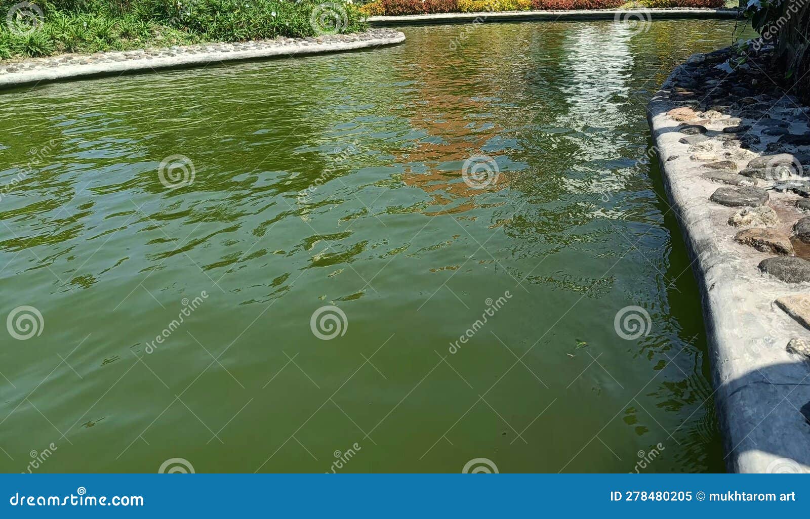 Green Color Water Channel in the Garden Stock Image - Image of water ...