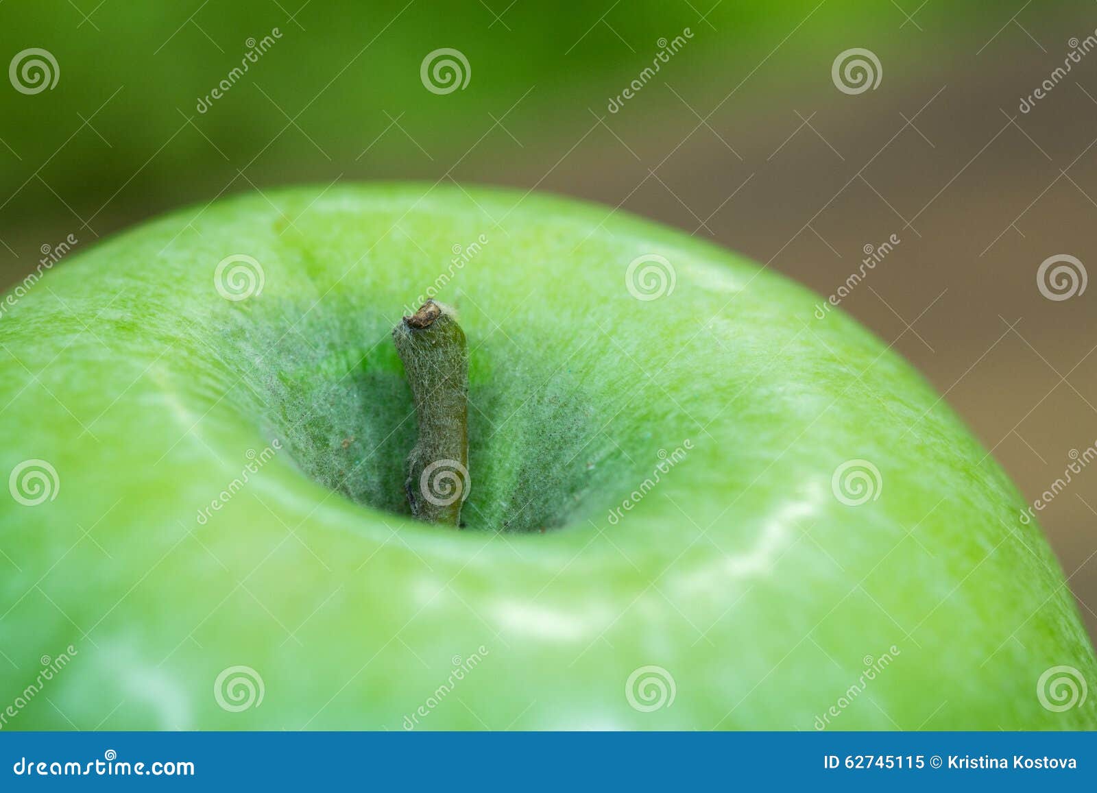 Green Colored Apple Detailed Texture Close Up Stock Image - Image of ...