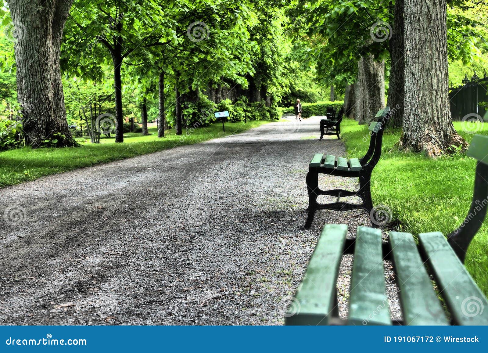 Green-colored Benches on the Pathway in a Park Captured during the ...