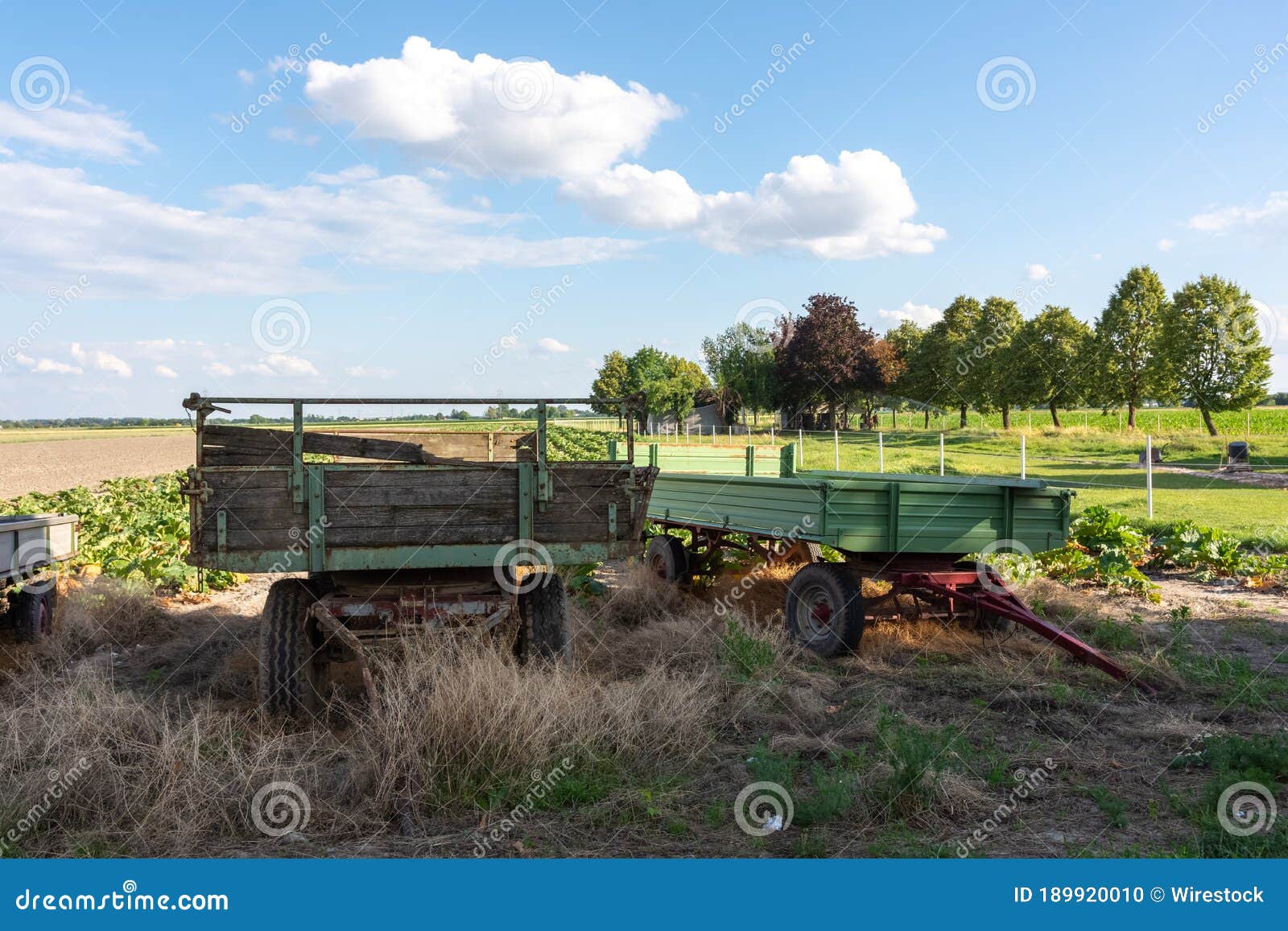 Green-colored Tractor-trailers in a Field Captured on a Sunny Day Stock ...