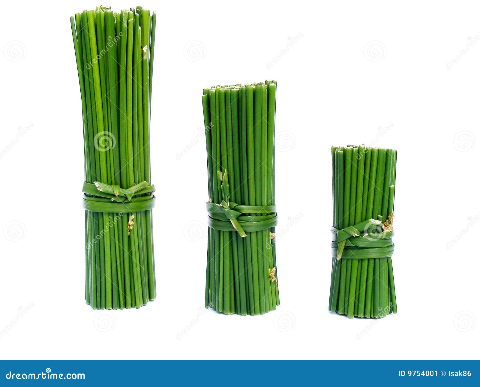 Green columns stock image. Image of columns, trend, abstract - 9754001