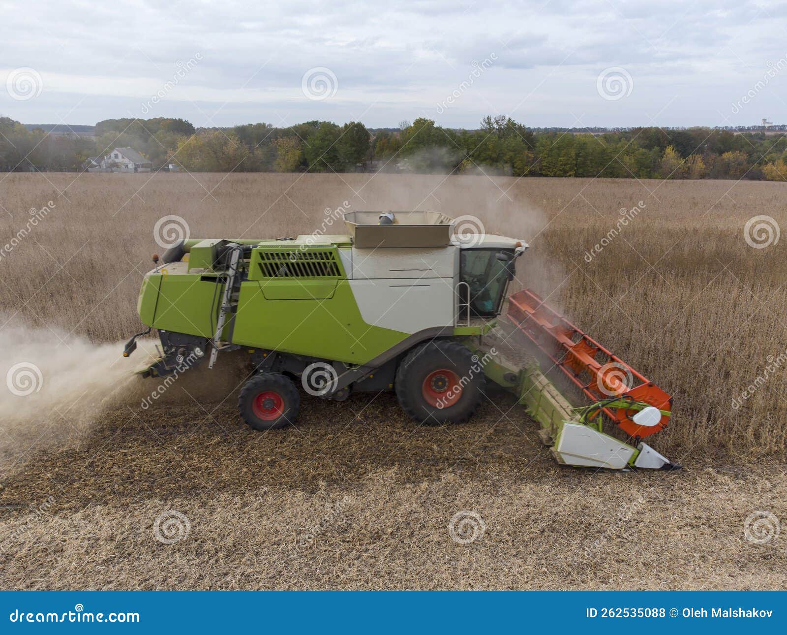 Green Combine in the Field Threshes Grain Stock Photo - Image of ...