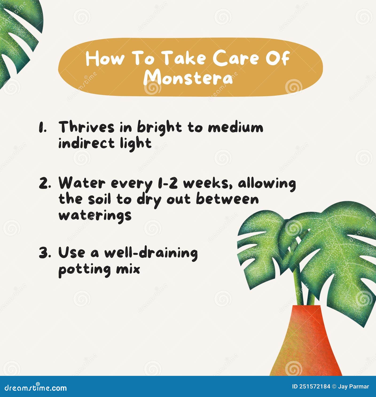 Green Comment Prendre Soin De Monstera Instagram Post Illustration ...