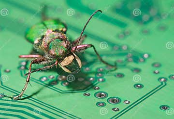 Green computer bug stock image. Image of mistake, failure - 26497211
