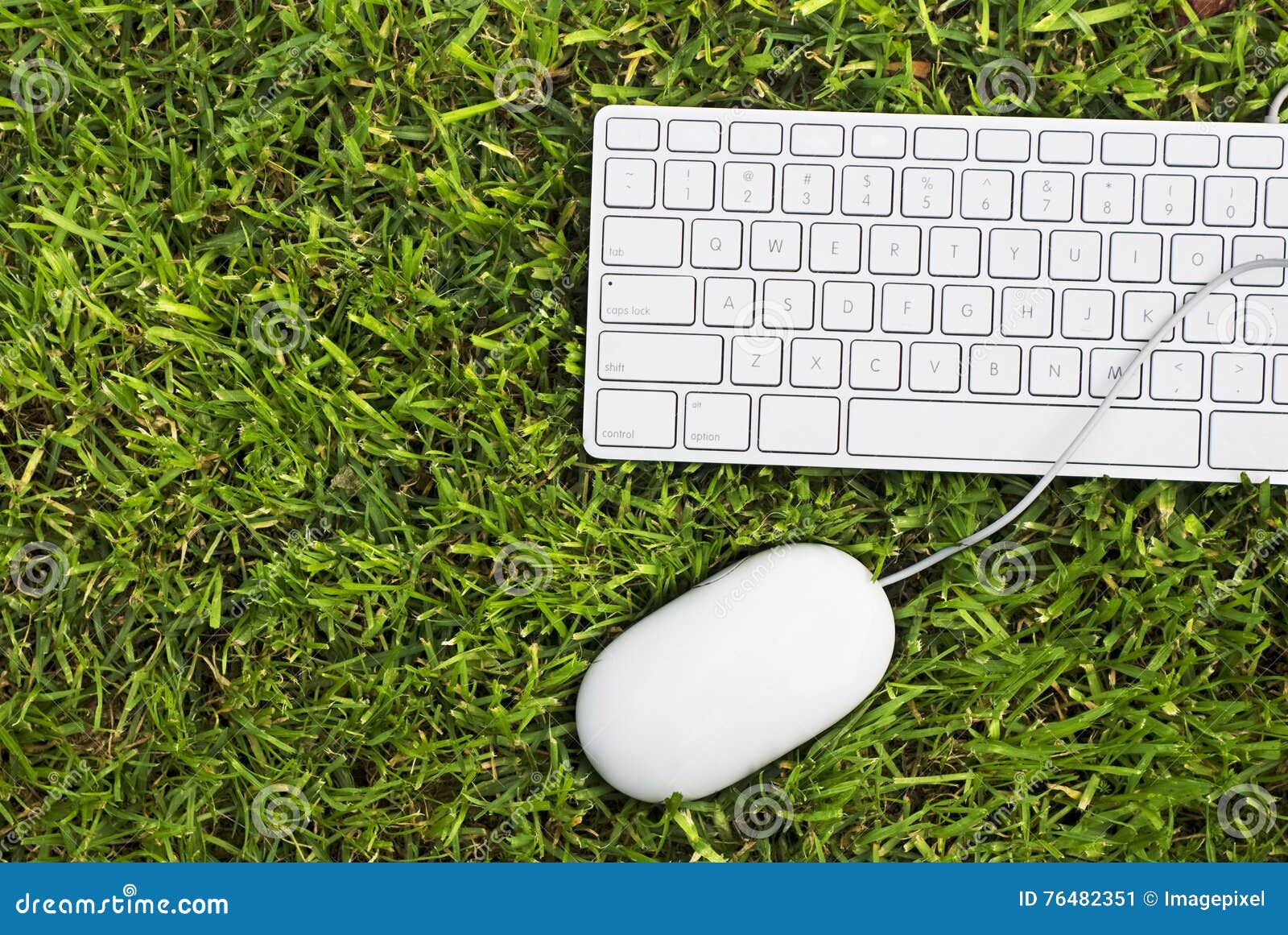 Green Computer stock image. Image of internet, environment - 76482351