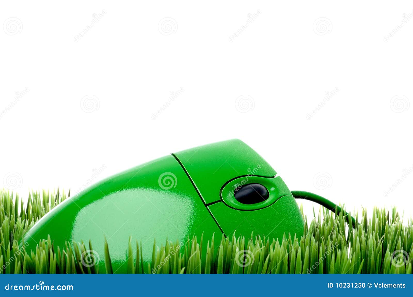 A Green Computer Mouse on Grass Stock Photo - Image of power, garden ...