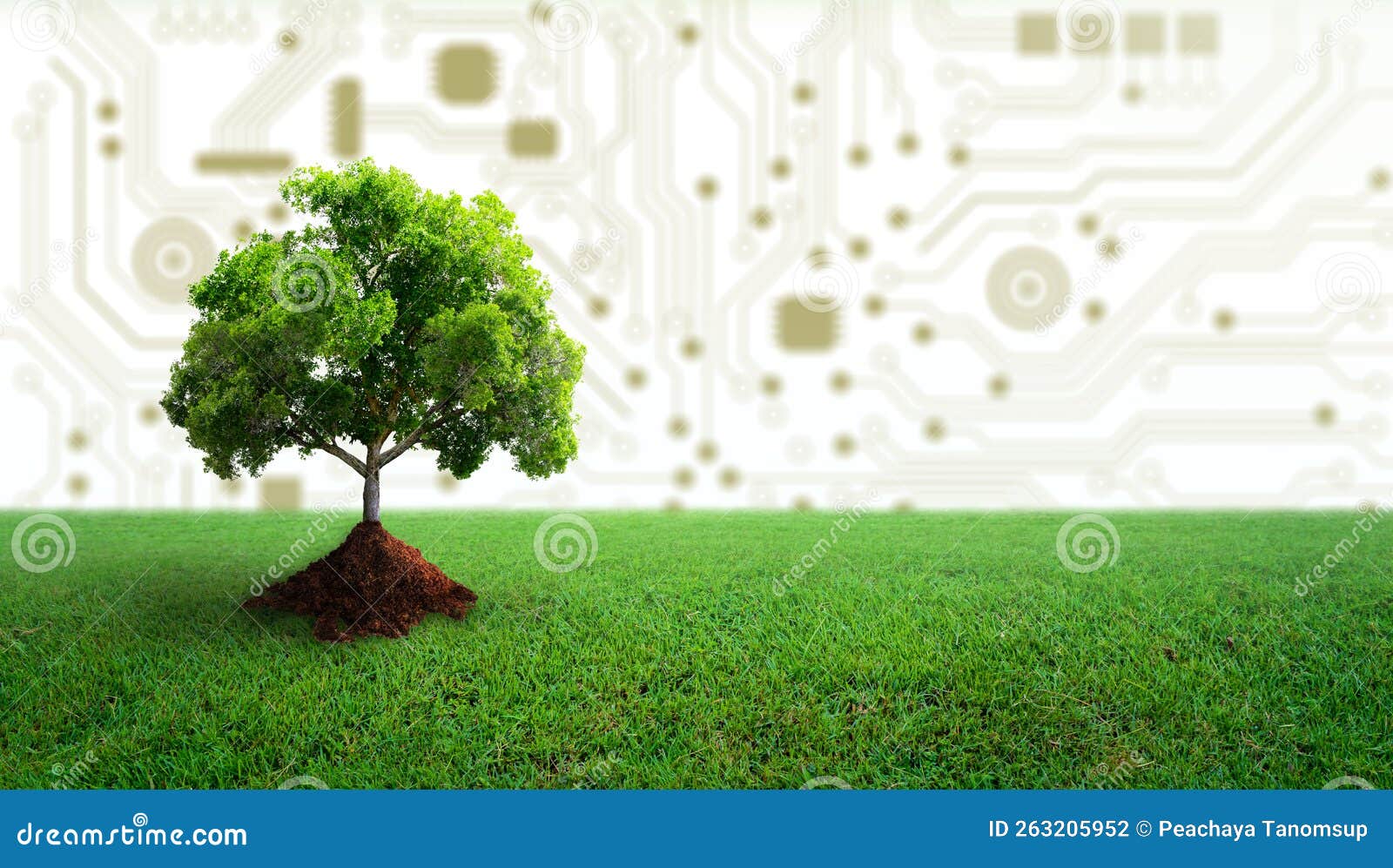 Green Computing, Green Technology, Green it, Csr, and it Ethics Concept ...