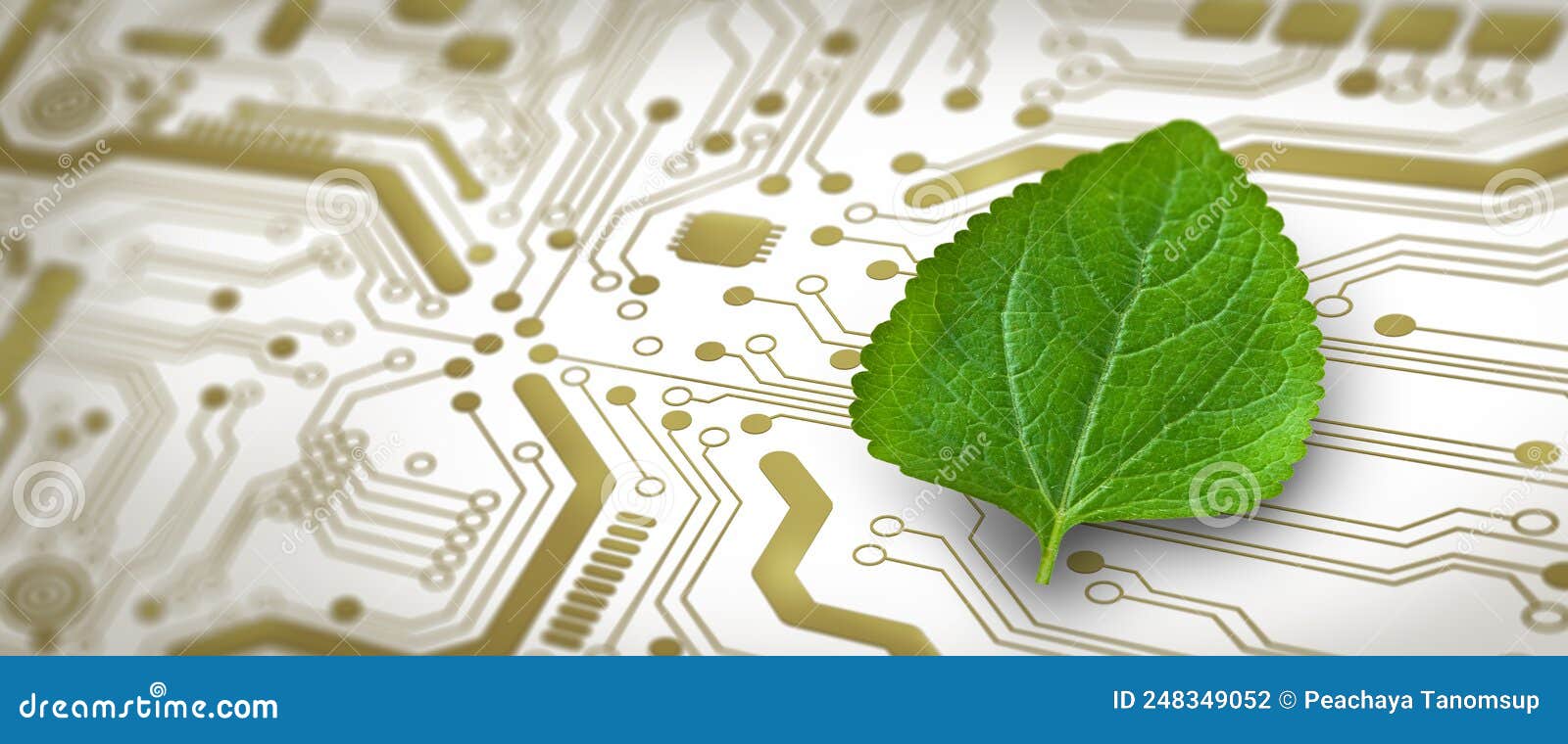 Green Computing, Green Technology, Green it, Csr, and it Ethics Concept ...