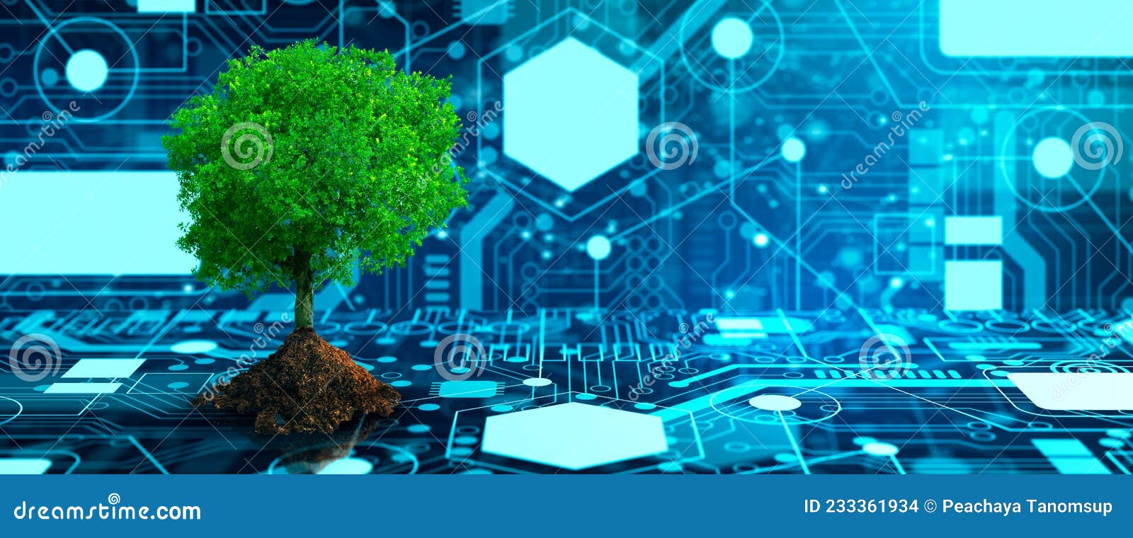 Green Computing In A Server Room: A Sustainable Solution. Stock ...