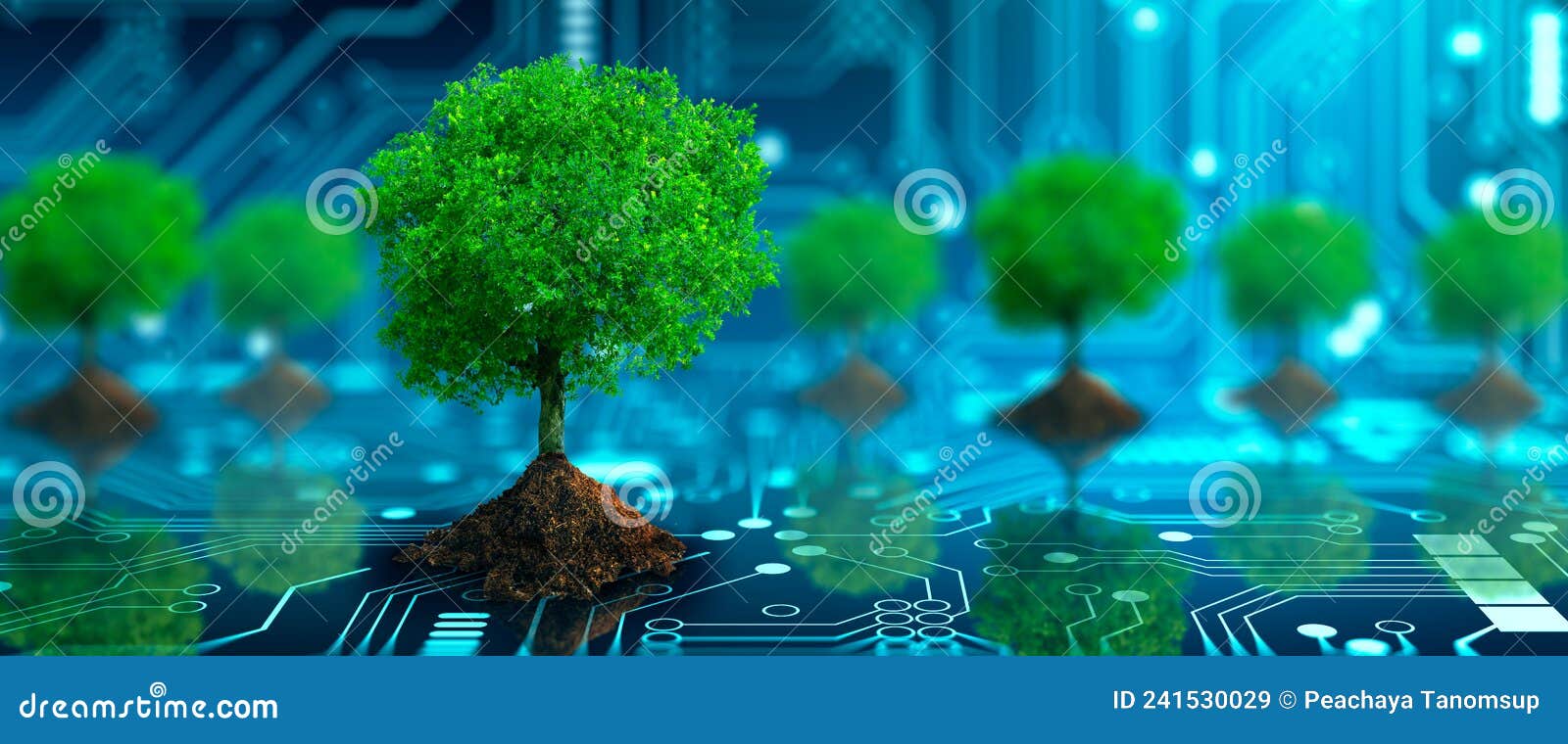 Green Computing, Green Technology, Green it, Csr, and it Ethics Concept ...