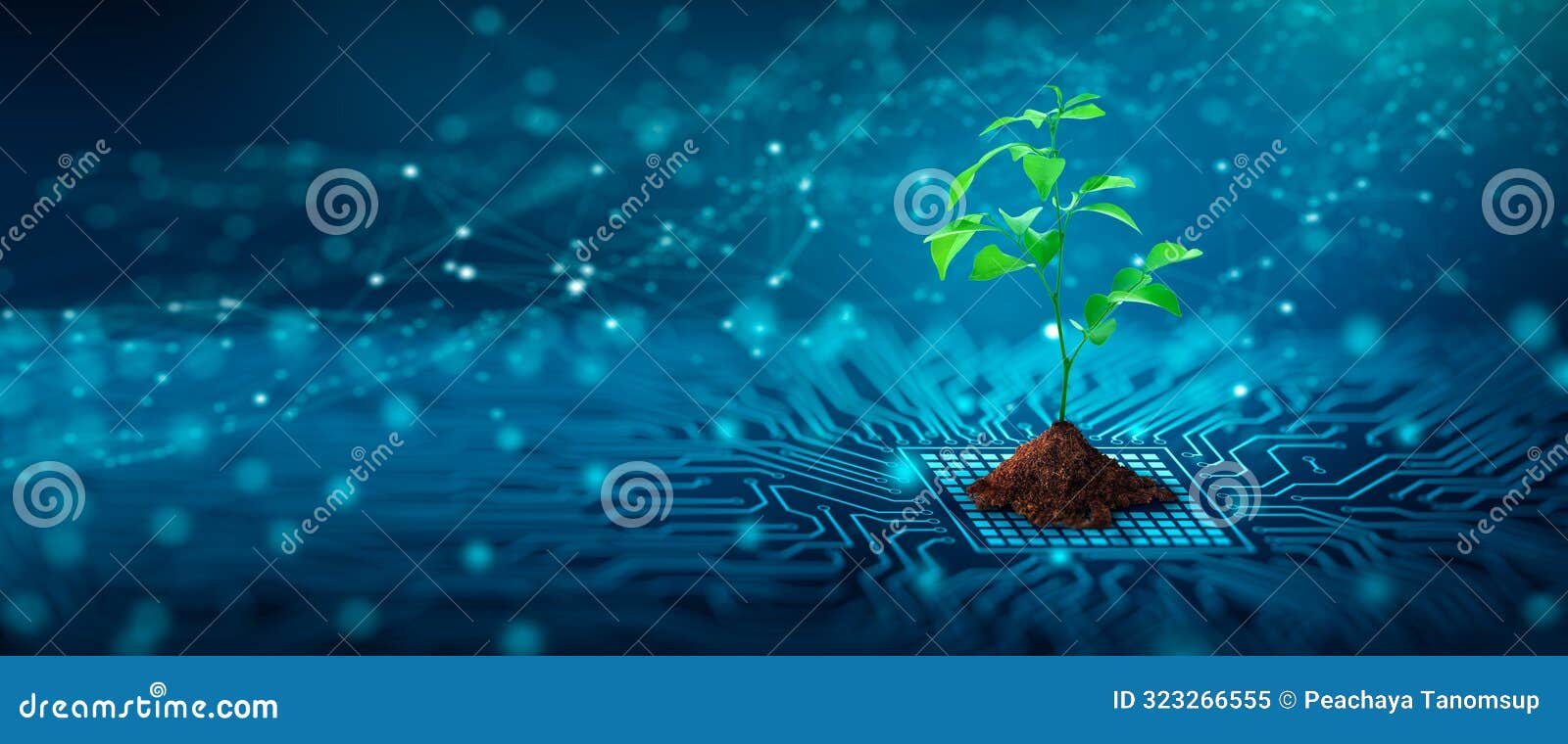 Green Computing, Green Technology, Green it, Csr, and it Ethics Concept ...