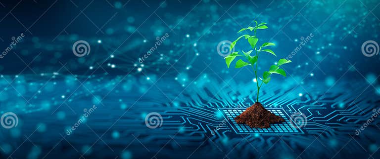 Green Computing, Green Technology, Green it, Csr, and it Ethics Concept ...