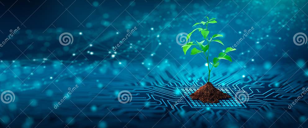 Green Computing, Green Technology, Green it, Csr, and it Ethics Concept ...