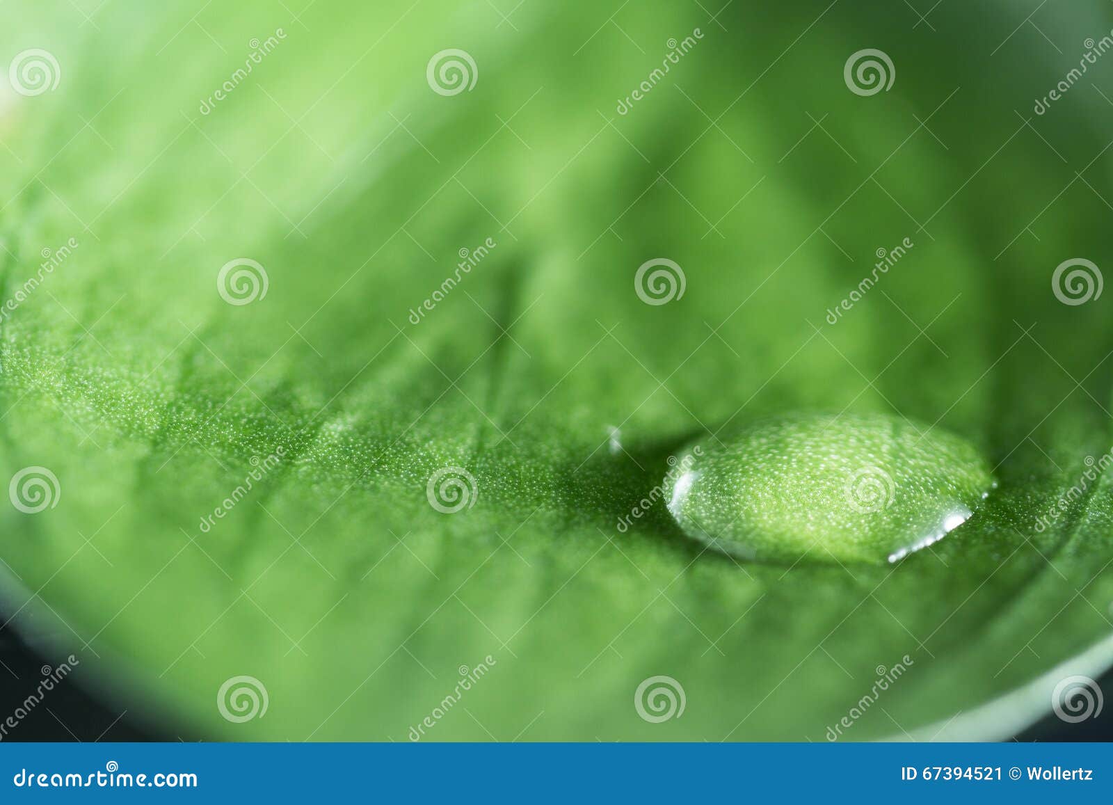 Green Concept with a Single Water Drop Stock Image - Image of climate ...