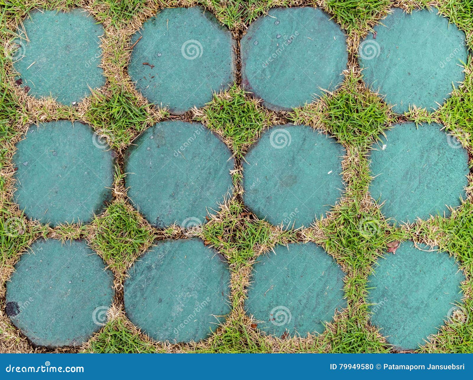 Green concrete block floor stock photo. Image of plant - 79949580