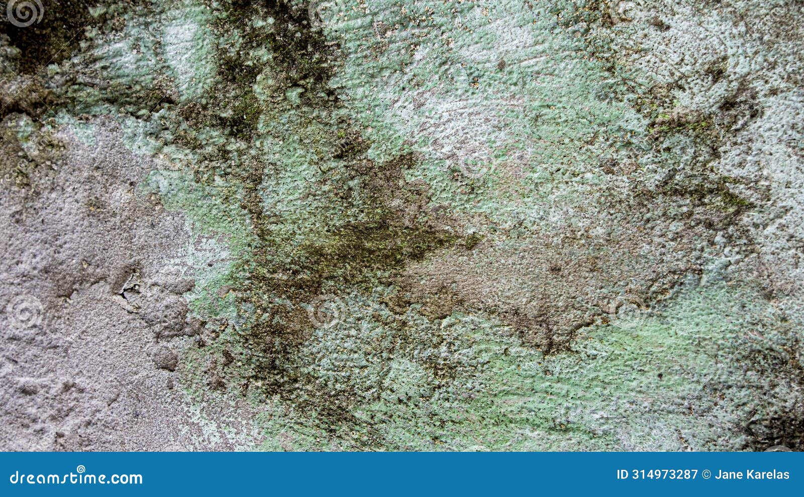 Green Concrete Wall with Mildew Stock Image - Image of material, cement ...