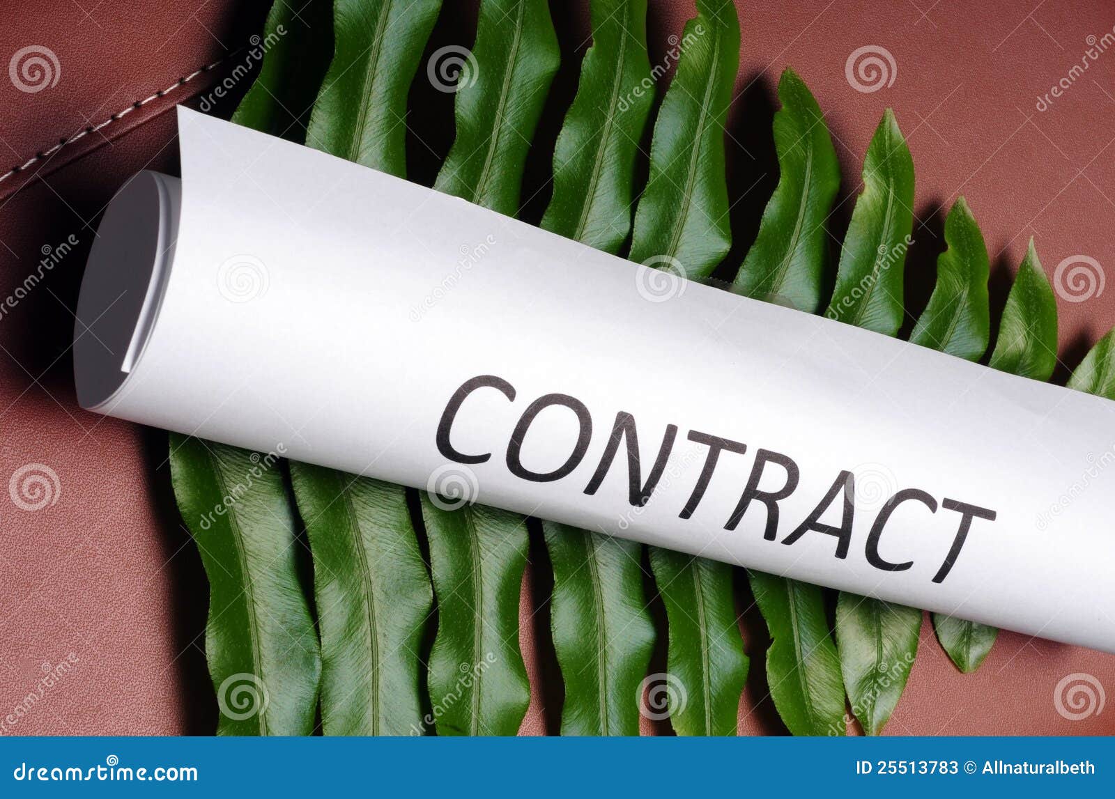 Green contract stock image. Image of decision, sustainability - 25513783