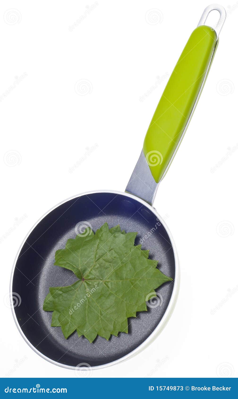 Green Cooking stock image. Image of food, concept, studio - 15749873