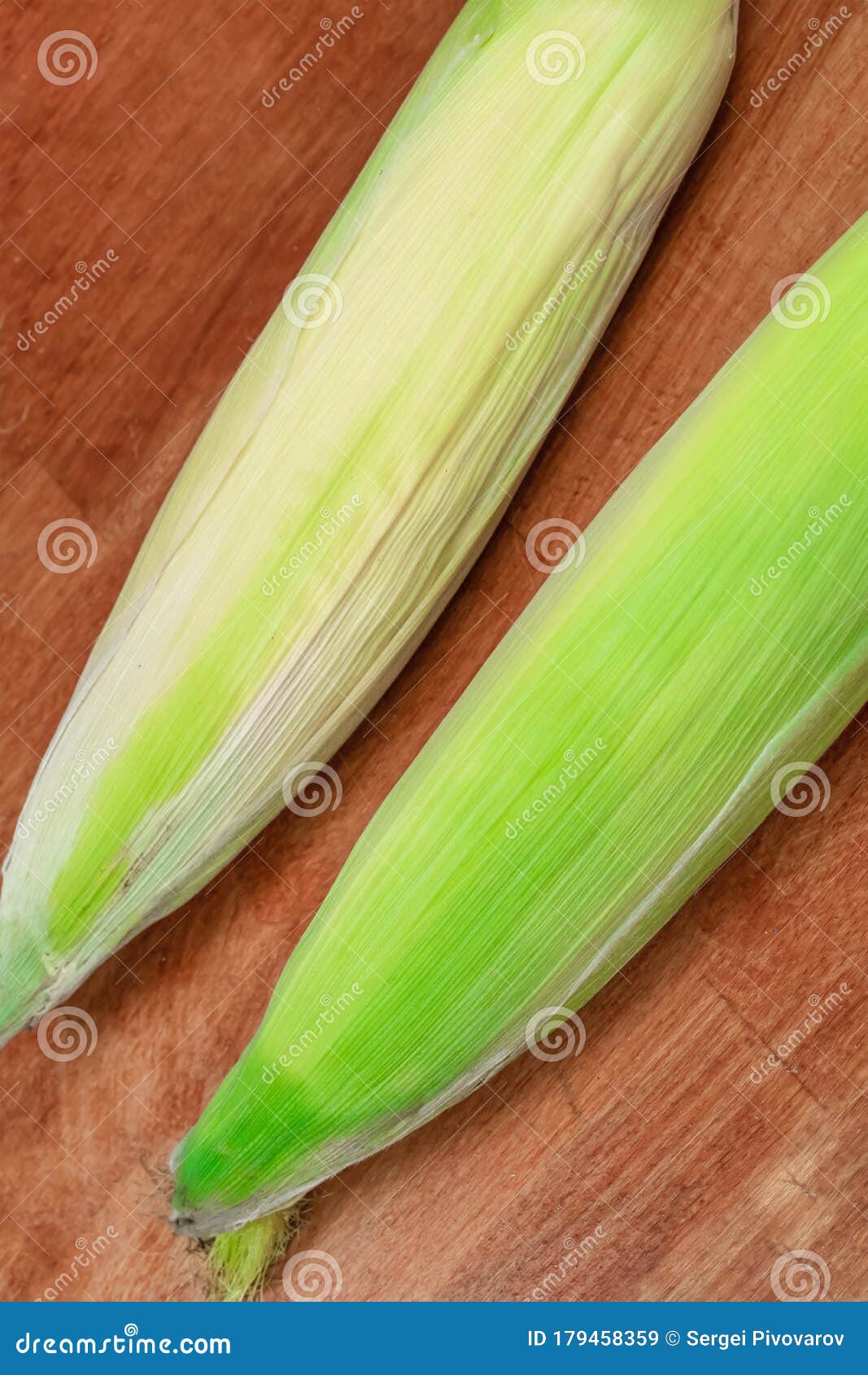 Green Corn Cobs Fresh Whole Whole Lie on the Table Stock Image - Image ...