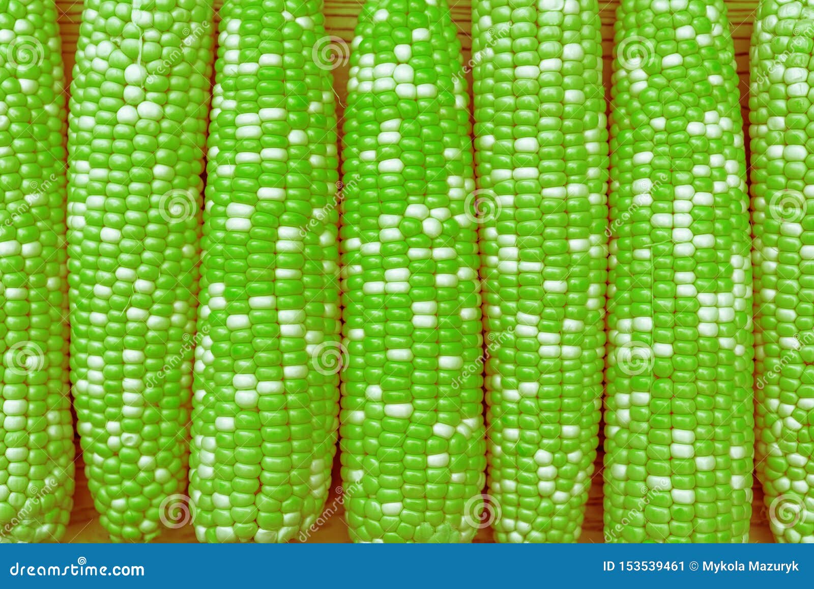 Green Corn with GMO. Green Color Maize Concept Background Stock Image ...