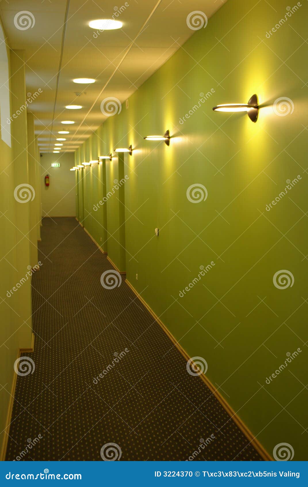 Green corridor stock photo. Image of modern, cool, building - 3224370